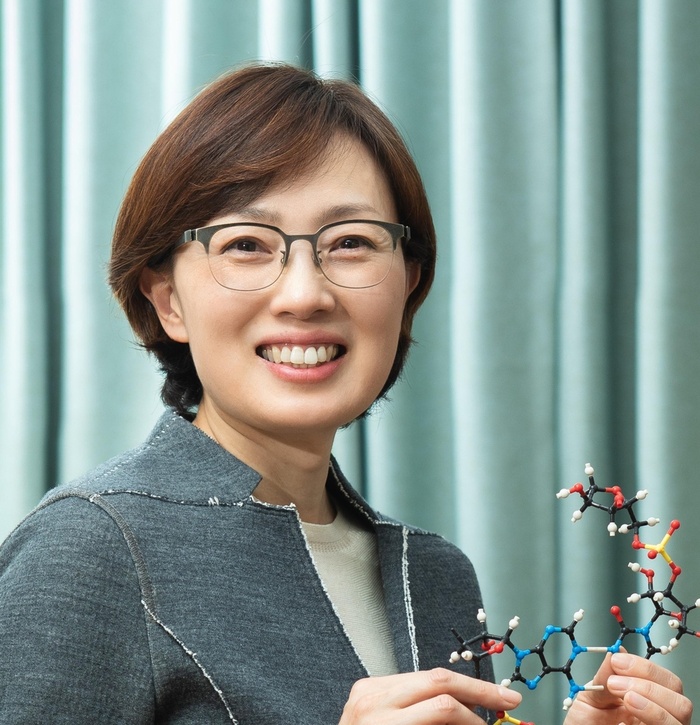 국내 연구진, 마이크로RNA 만드는 ‘다이서’ 원리 밝혔다 - 대한경제