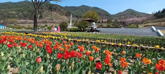 거창군, 거창사건 순례인증 챌린지 운영 - 대한경제