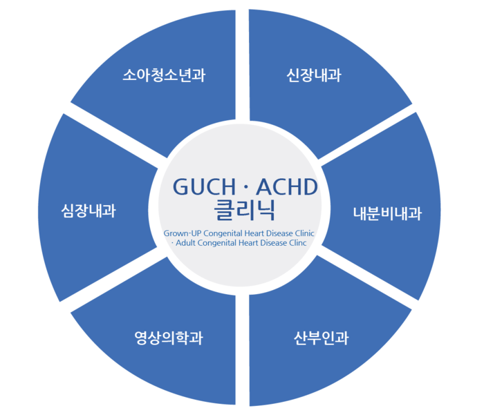 부천세종병원, 성인 선천성 심장병 환자 대상 특수 클리닉 가동 …GUCH·ACHD 클리닉 - 대한경제